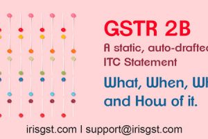 GST Return Filing Software in India | Simplified GST filing | IRIS Sapphire